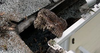 You Will Be Surprised How Affordable This Gutter Protection Is!